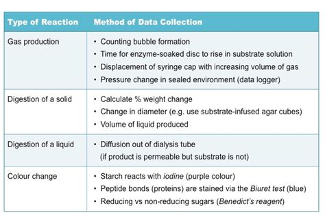 Enzyme Experiments Bioninja