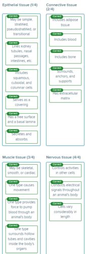 Flashcards Conncet Chapter 41 Quizlet