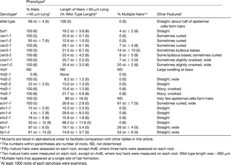 Root Hair Phenotypes Of Arabidopsis Lines Download Table