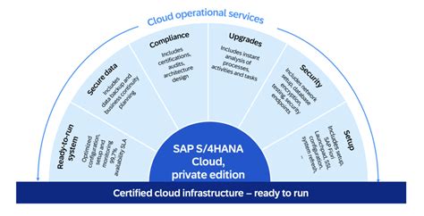 Benefits Of Rise With Sap S 4hana Private Cloud Edition