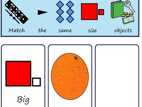 maths matching sizes big and small objects teaching resources