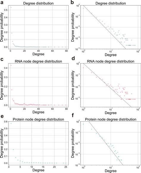Rna Protein Interaction Prediction Using Network Guided Deep Learning Pmc