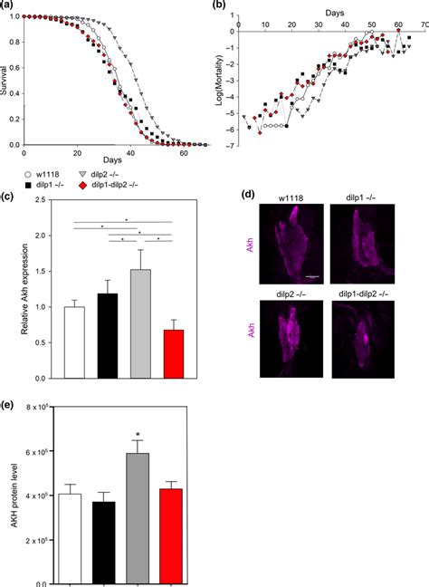 Dilp1 Mutation Suppresses Aging And Akh Phenotypes Of Mutant Dilp2 A