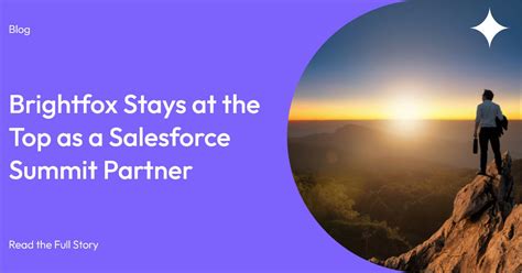 Brightfox Belgium On Linkedin Brightfox Salesforce Teamwork Salesforcesummitpartner…