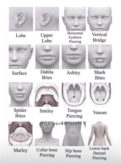 Mich Gonzalez Adlı Kullanıcının Face Piercing Chart Panosundaki Pin