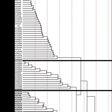 ward s minimum variance dendrogram download scientific diagram