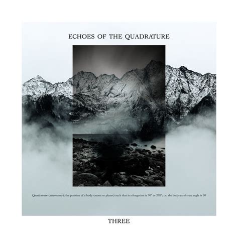 Echoes Of The Quadrature Three Various Artists Insectorama Echoes Of The Quadrature Three Various Artists Insectorama