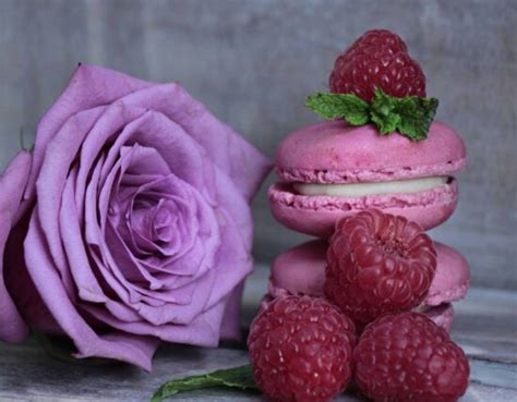 무료 사진 과일 맛 있는 달콤한 베리 라즈베리 크림 음식 디저트