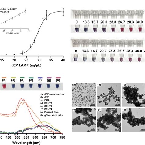 sensitivity and specificity of crt lamp a measurement to jev lamp