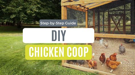 How To Build A Chicken Coop Step By Step With Pictures At Beatrice Callahan Blog