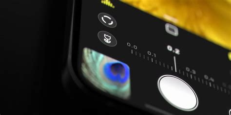 How To Take Macro Mode Photos On An IPhone No IPhone Pro Needed