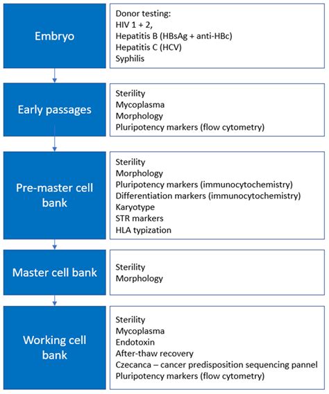 The Manufacture Of Xeno And Feeder Free Clinical Grade Human Embryonic