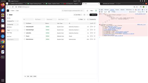 When I Am Addding User Then Coming This Issue On Frappe Customization