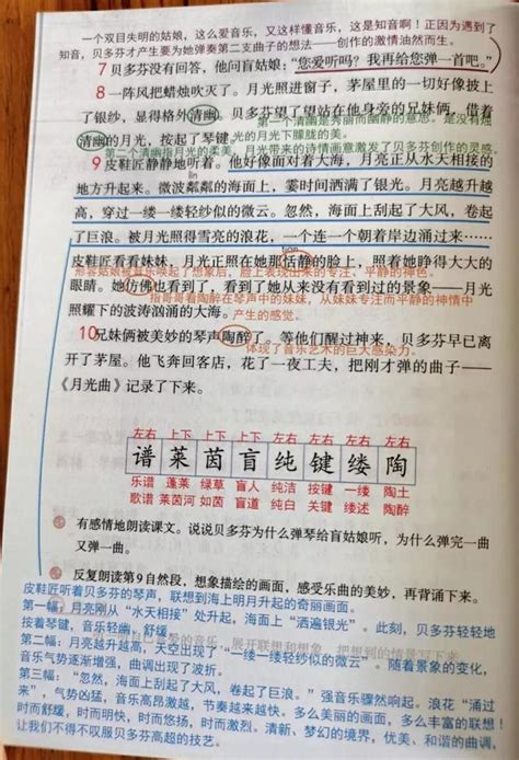 六年級語文上冊第二十二課月光曲課文筆記預習專用 每日頭條