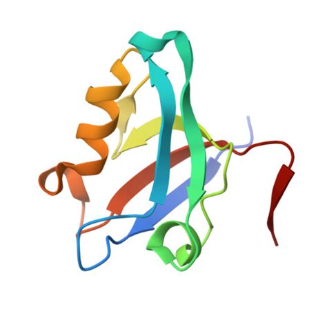 Rcsb Pdb 2vph Crystal Structure Of The Human Protein Tyrosine