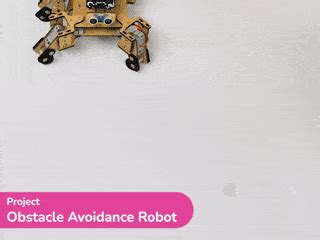 Quadruped Obstacle Avoidance Example Project