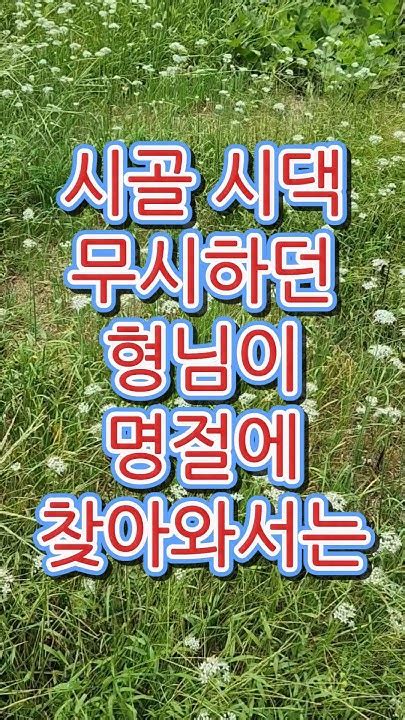 시골 시댁 무시하던 형님이 명절에 찾아와서는 Youtube