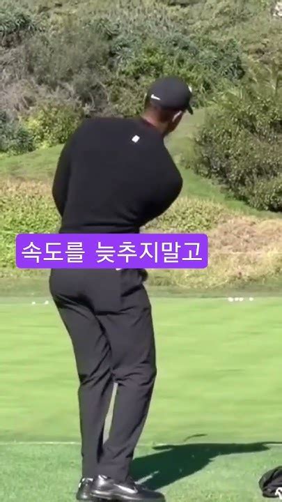 초보골퍼 타이거우즈 어프로치 Youtube