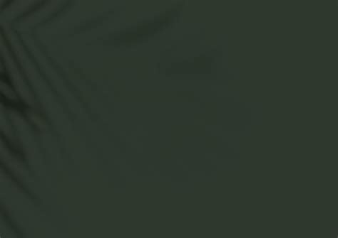 Green Leaf Shadow Background Aesthetic Premium Photo Rawpixel