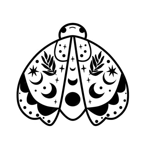 Premium Vector Moth Drawing Isolated Illustration Black Celestial