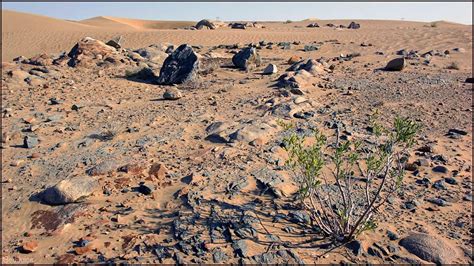 Namibia Desert Landscapes Pptx