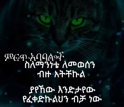 ምርጥ አባባሎች