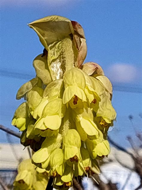 Ju Noske Ju Noske Twilog