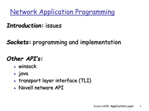ppt network application programming powerpoint presentation free