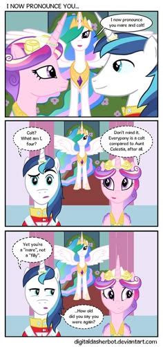 Pregnant Mlp