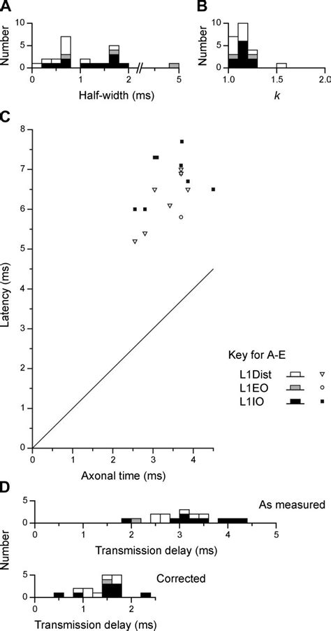 Characteristics Of Cross Correlation Histogram Peaks For L1 Nerves