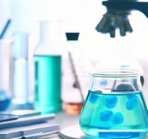 In Vitro Models Bridging The Gap Between The Lab And The Clinic Lide Biotech