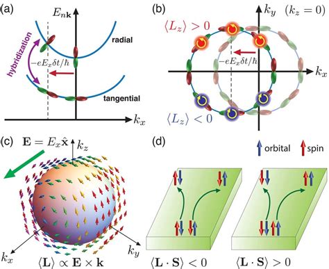 A B Illustration Of Intrinsic Ohe From Orbital Texture In Download Scientific Diagram