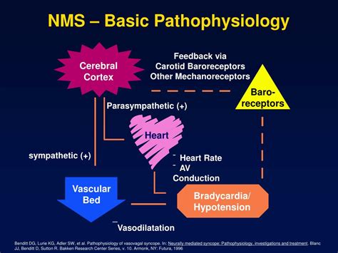 Ppt Syncope Powerpoint Presentation Free Download Id 48328