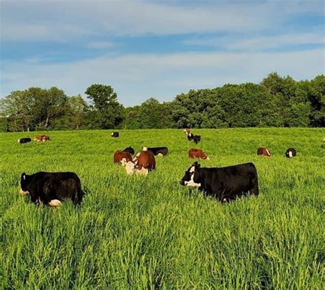 Cross W Ranch Farms For Tomorrow