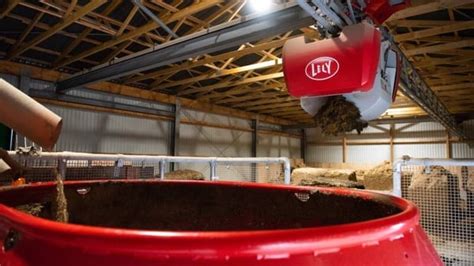 12 Precision Livestock Farming Companies Driving Agtech Innovation