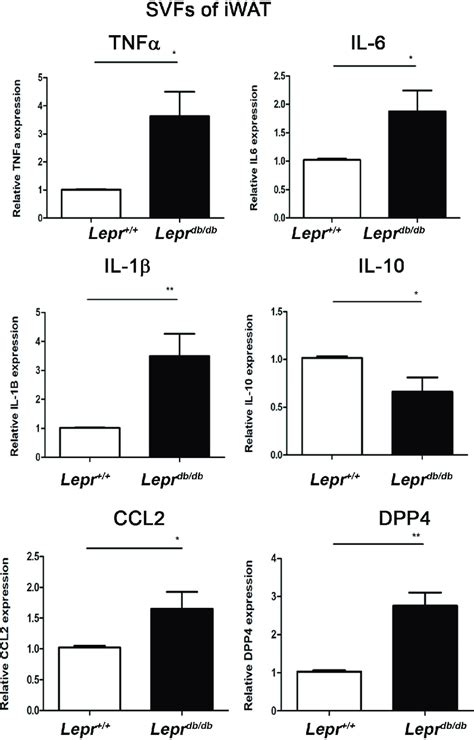 svfs of adipose tissue from lepr db db mice demonstrate an increased m1