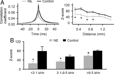 Neural Synchrony In A1 A Average Normalized Cross Correlation Download Scientific Diagram