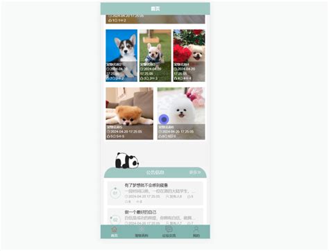 基于springbootvue的宠物社交平台设计和实现源码lw部署讲解 Csdn博客