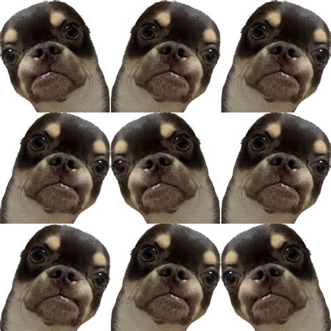 Chriskim Chriskim 님의 게시물 Kream