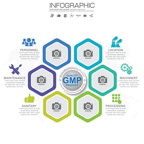 Gmp Infographic With Steps Or Processes 3274127 Vector Art At Vecteezy Gmp Infographic With Steps Or Processes 3274127 Vector Art At Vecteezy