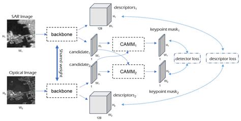 The Overall Architecture Of The Proposed Cam Net Download Scientific Diagram