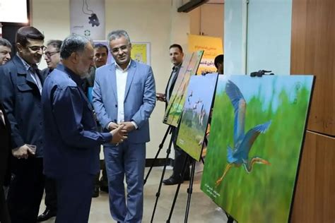 باید در حفاظت از محیط زیست، نگاه مشارکتی حاکم باشد