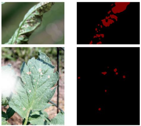 Leaf Disease Segmentation Using Pytorch Deeplabv3