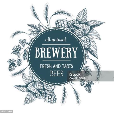 맥주 술집에 대 한 디자인 서식 파일입니다 보 리와 홉 메뉴 레이블입니다 서클 개념입니다 손으로 그린 벡터 일러스트 레이 션 홉에 대한 스톡 벡터 아트 및 기타 이미지