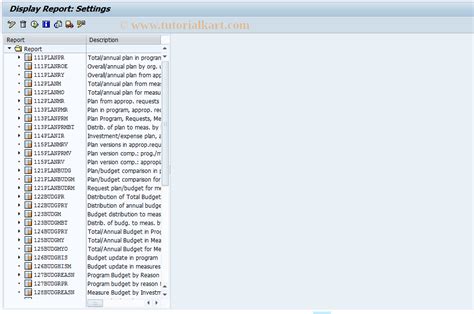 IME SAP Tcode Display Cap Inv Prog Report