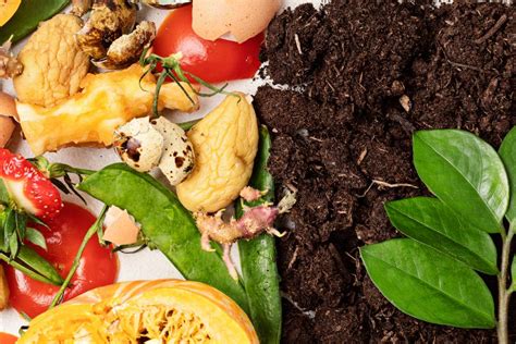 Homemade Compost Guide Ideal Mix 4 Essential Ingredients