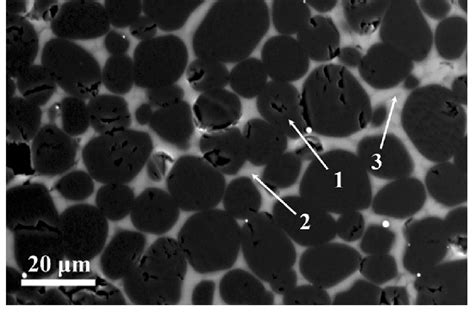 Sem Image Of Ms0 Substrate In Zone D Mgo Matrix Marked As 1 Liquid