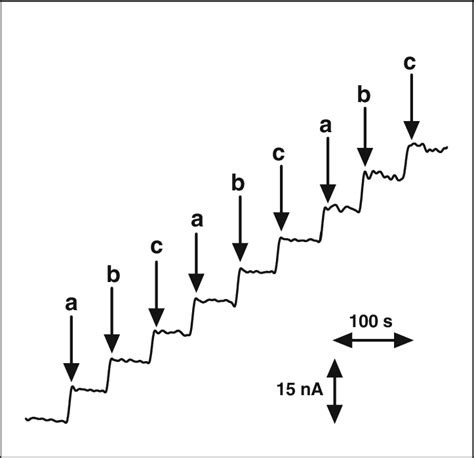 Amperometric It Curve For The Alternative Addition Of Aa Dopac And Ua Download Scientific