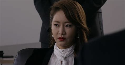 Tv 스크린 사로잡은 파란만장 꽃누나 전성시대