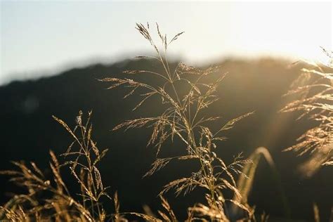 비산먼지 특정공사 신고대상 발생신고 신고요령